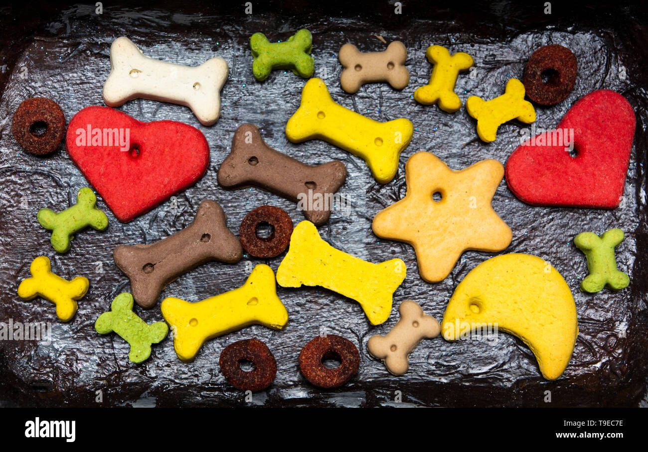 Colorful dog food flat lay background pattern Stock Photo - Alamy