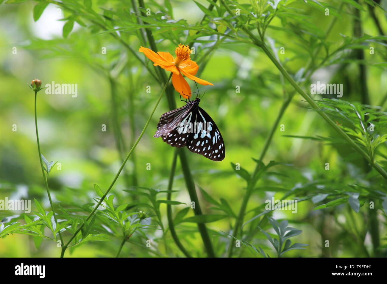 Istock photography hi-res stock photography and images - Alamy
