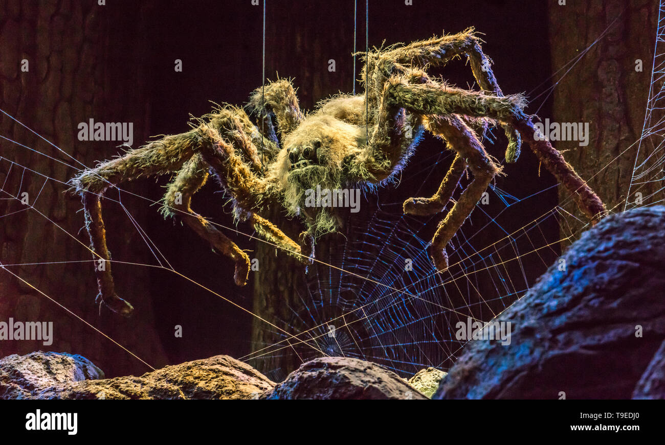 Spiders Harry Potter Party Harry Potter™ Lit Aragog Spider & Mini