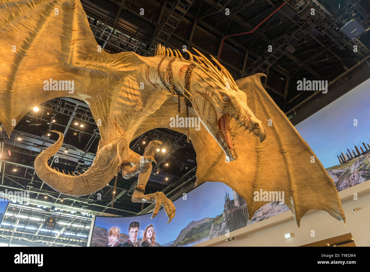 Giant Dragon from Gringotts Bank hanging in the reception area of the ...