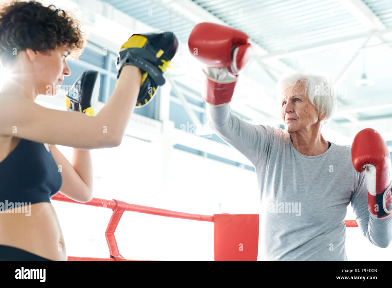 Challenge competition boxing ring boxing glove action hi-res stock ...