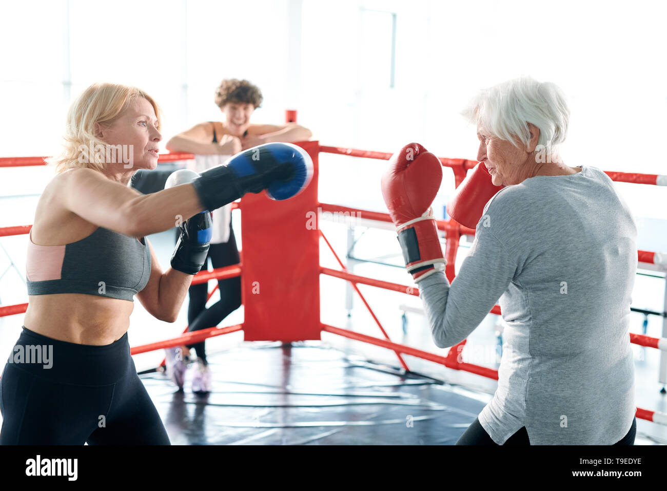 Action competition challenge boxing ring boxing glove hi-res stock ...