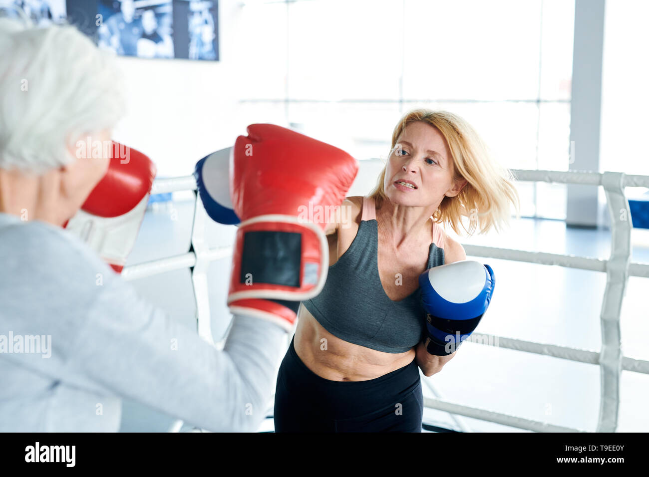 Training on boxing ring Stock Photo - Alamy