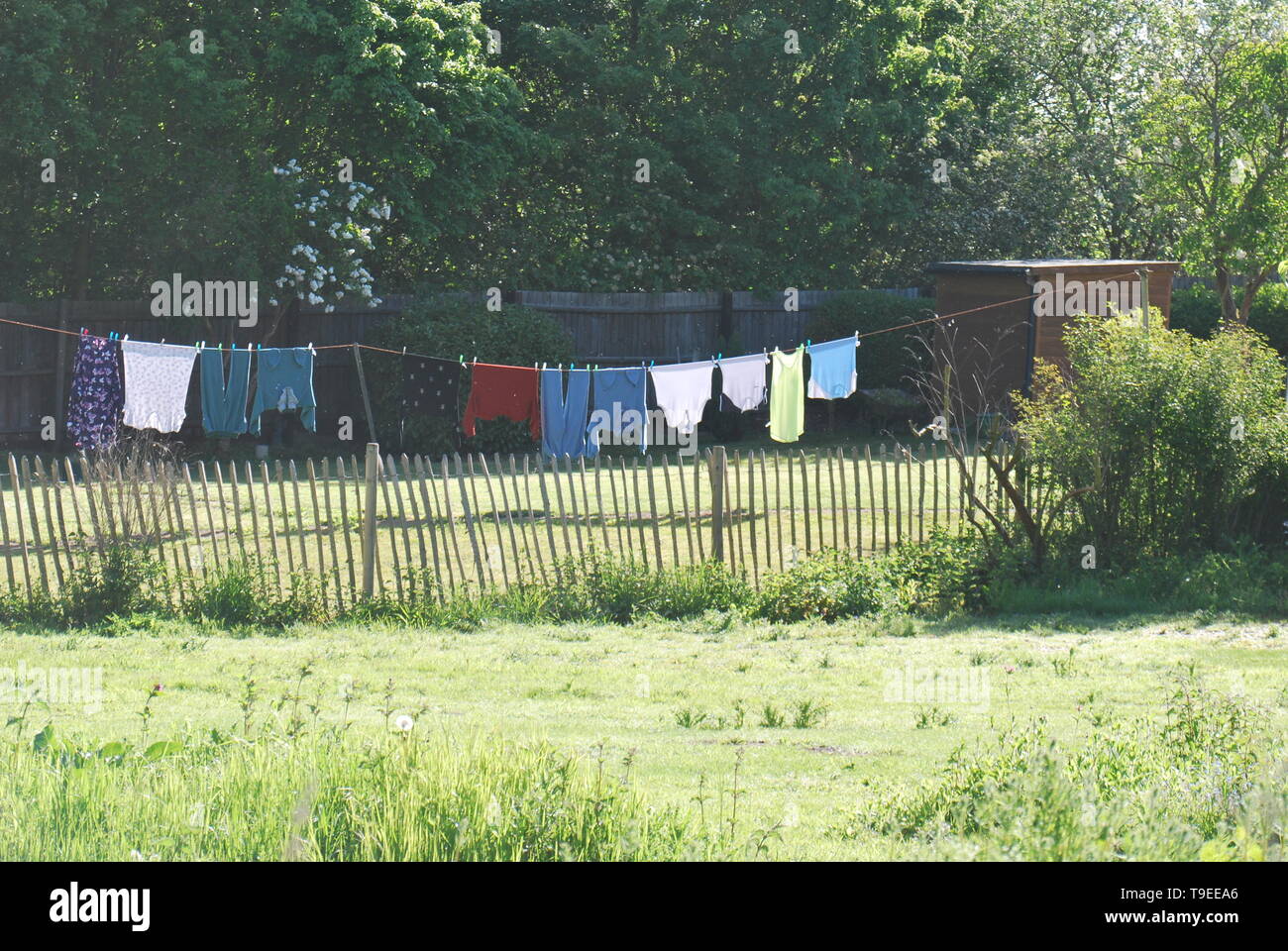 Laundry on a washing line in the early morning light Stock Photo - Alamy