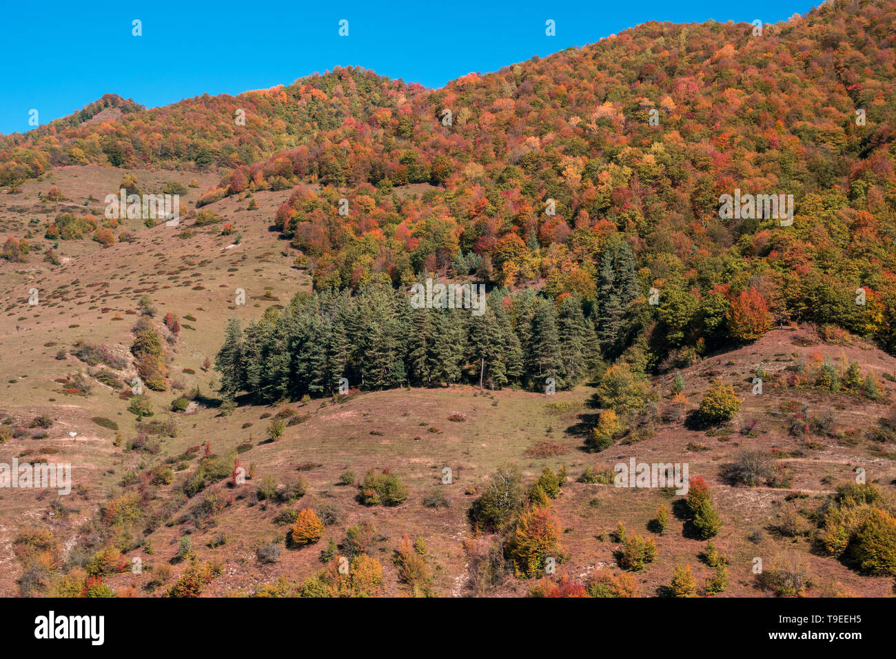 Daryal gorge hi-res stock photography and images - Alamy
