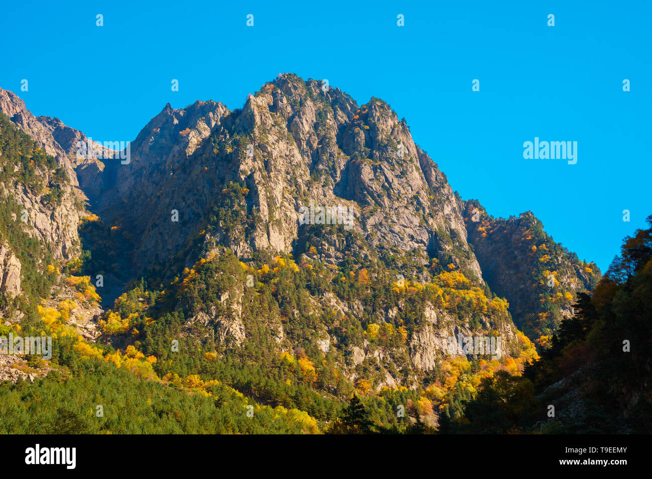 Daryal gorge hi-res stock photography and images - Alamy