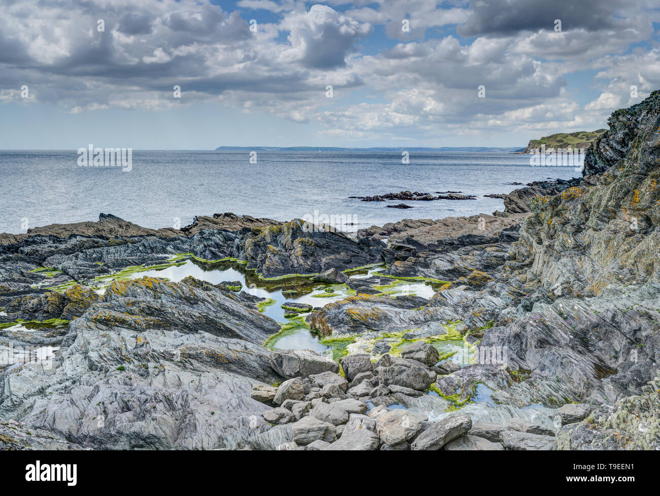A landscape of the rugged shoreline by Fowey in Cornwall looking out to ...