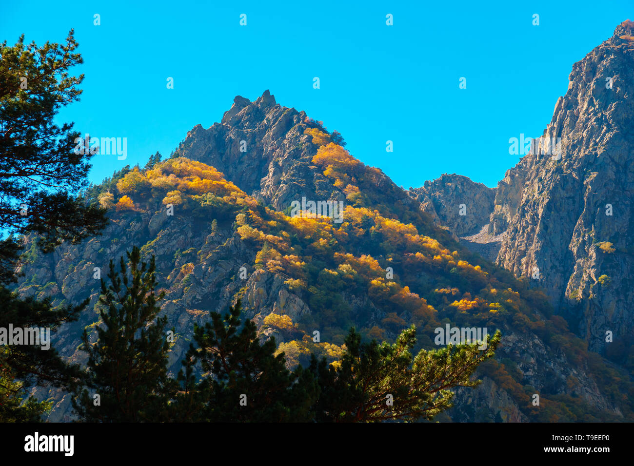 Daryal Gorge High Resolution Stock Photography and Images - Alamy