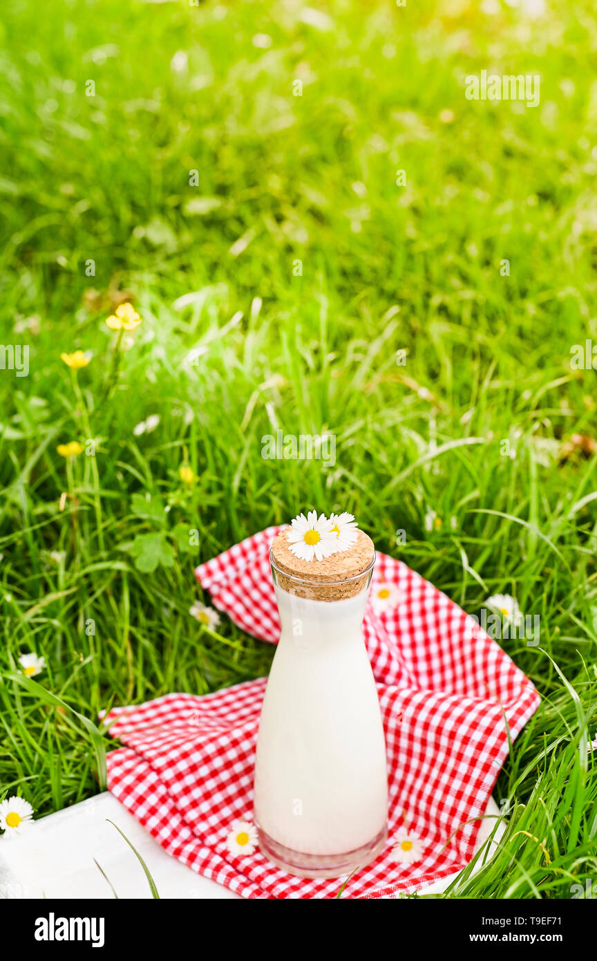 A bottle of milk on the green grass. Environmentally friendly product ...