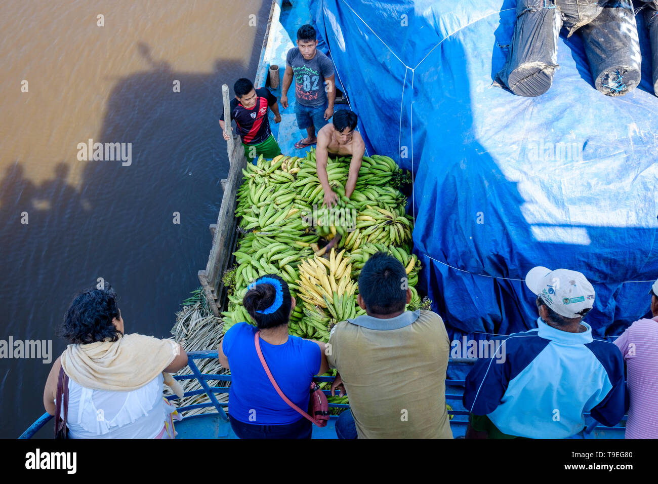 Bananas cargo on the ferry that covers the Yurimaguas-Iquitos line ...