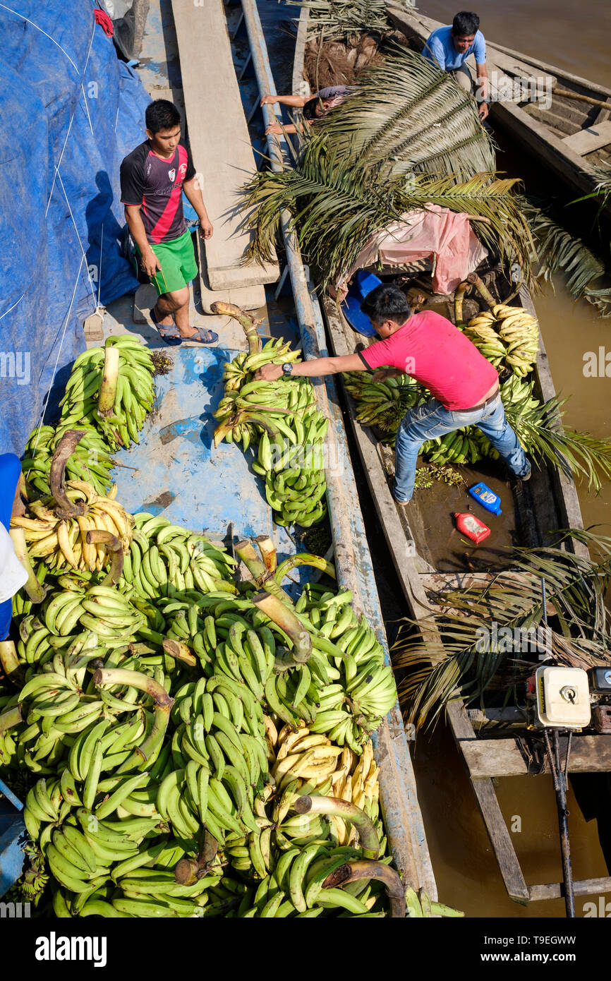 Bananas cargo on the ferry that covers the Yurimaguas-Iquitos line ...