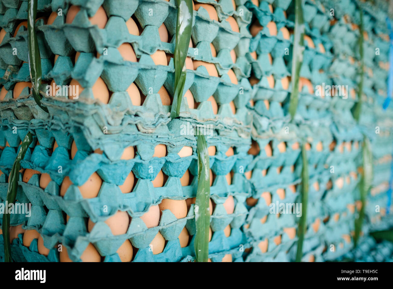 Shipment of chicken eggs on the ferry that covers the Yurimaguas ...