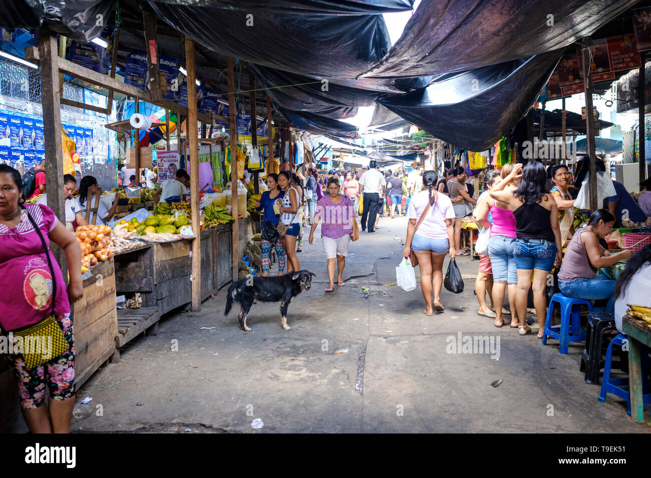 Belen market or Mercado Belén in Iquitos in the Peruvian Amazon ...