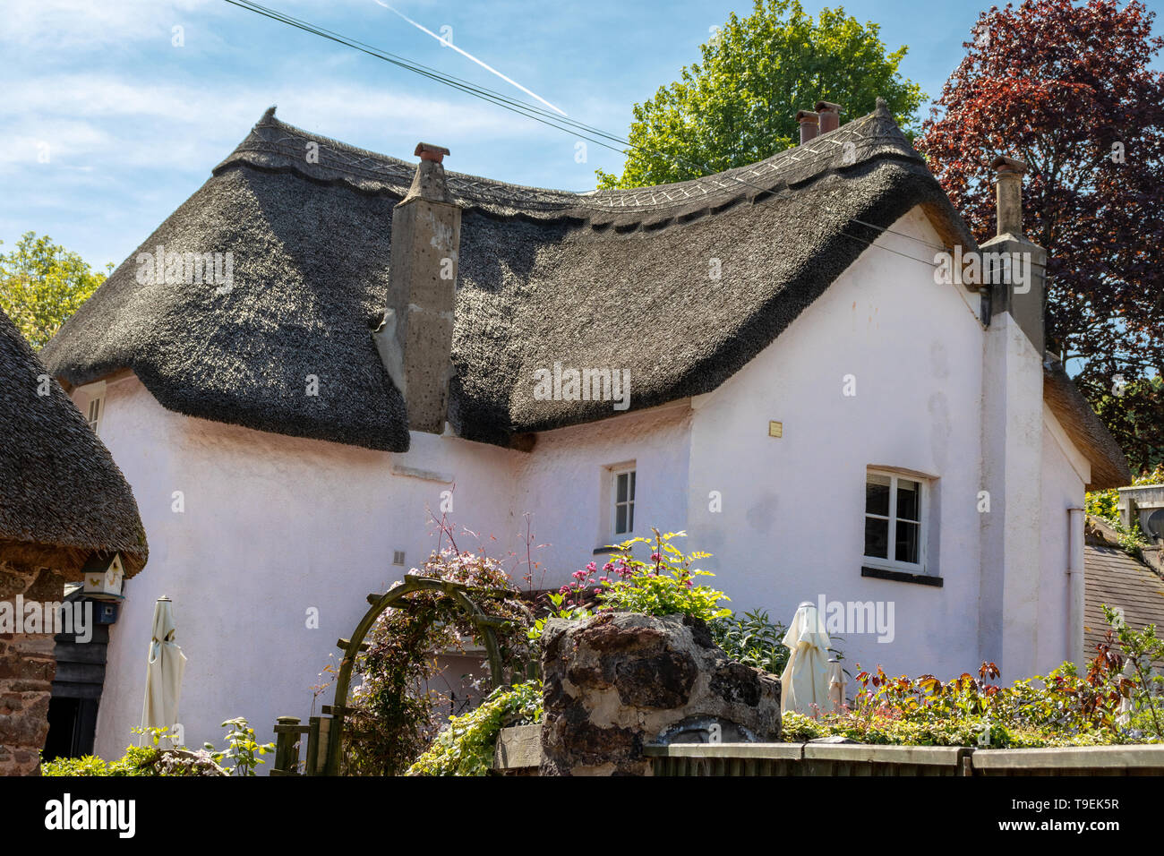 Cockington park hi-res stock photography and images - Alamy