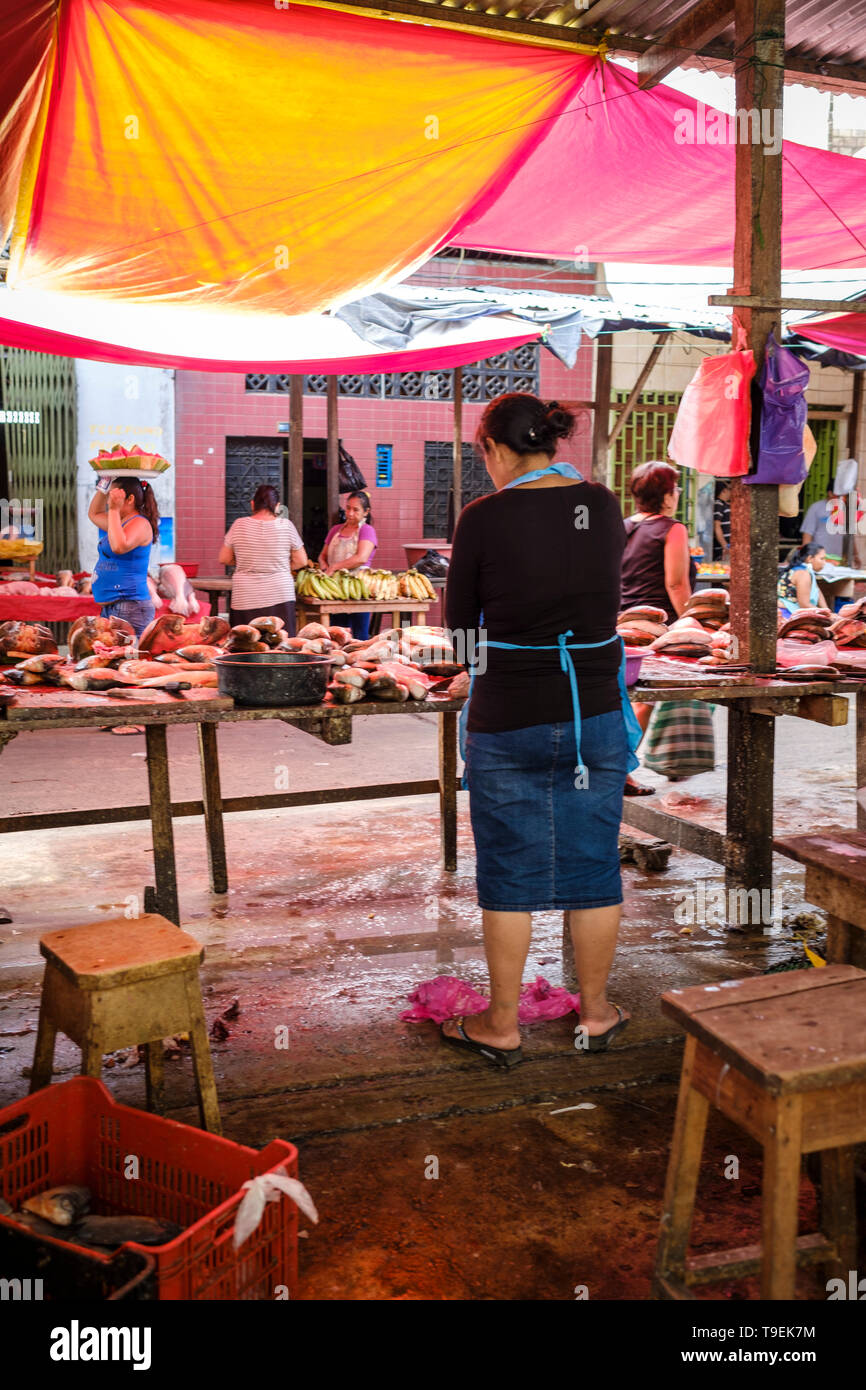Fish stall at Belen Market or Mercado Belén on Iquitos at Peruvian ...