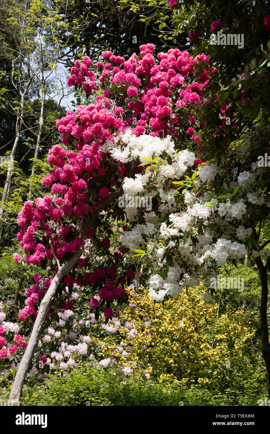 Cockington Village ,Cockington Court and Craft Centre.Torquay.Devon ...