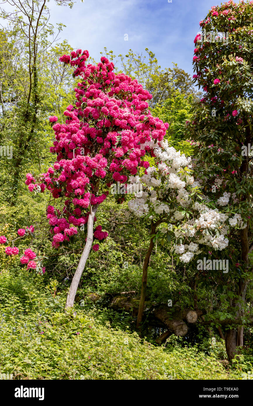 Cockington Village ,Cockington Court and Craft Centre.Torquay.Devon ...