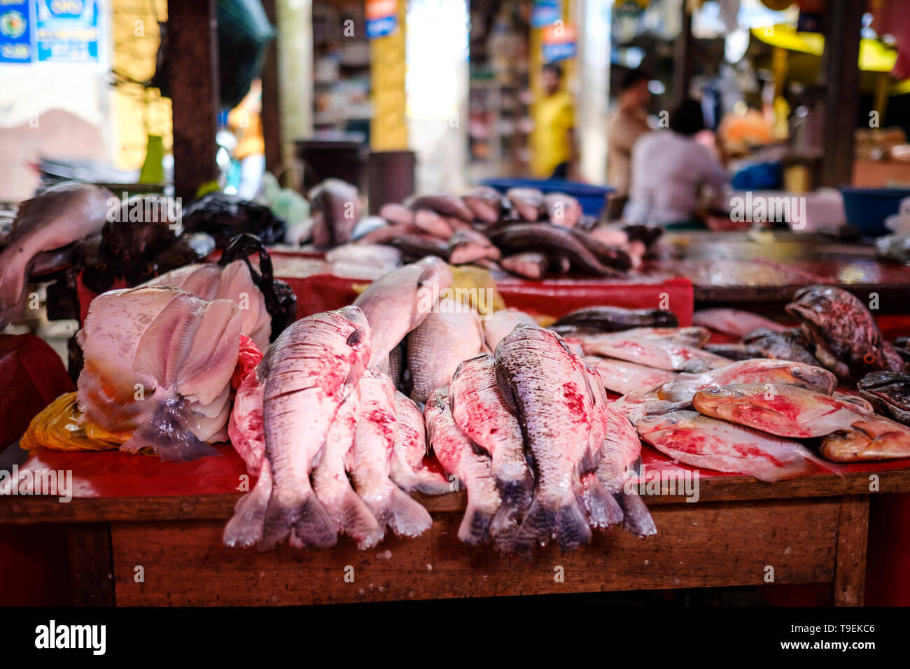 Fish stall at Belen Market or Mercado Belén on Iquitos at Peruvian ...