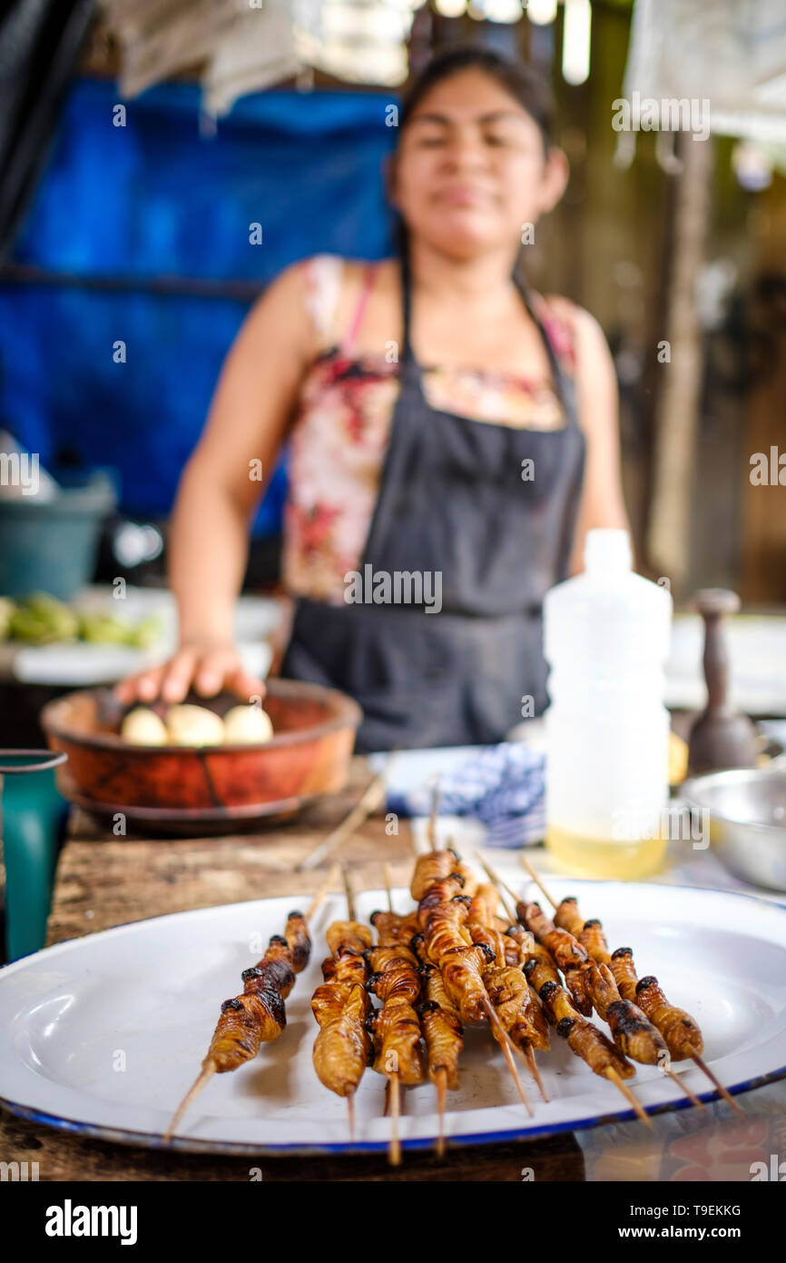 Tree worms named Suri for sale as food on a stall at Belen Market or ...