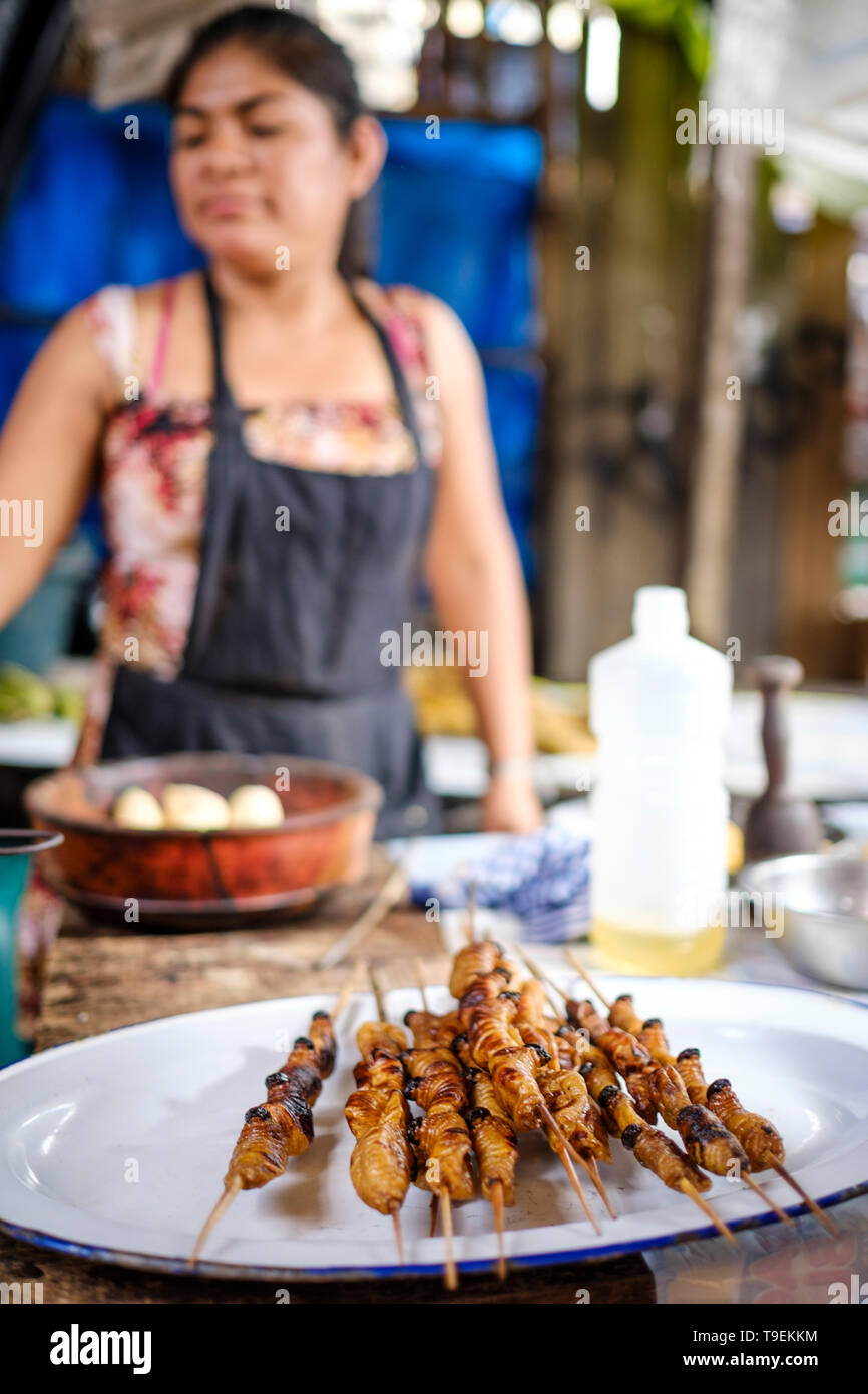 Tree worms named Suri for sale as food on a stall at Belen Market or ...