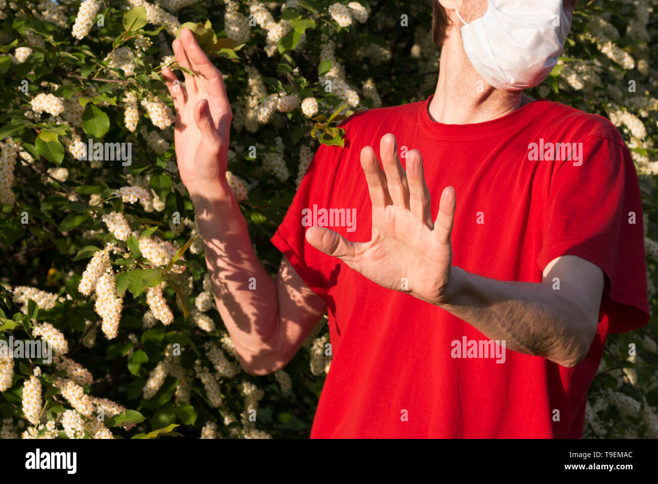 Pollen cloud hi-res stock photography and images - Alamy