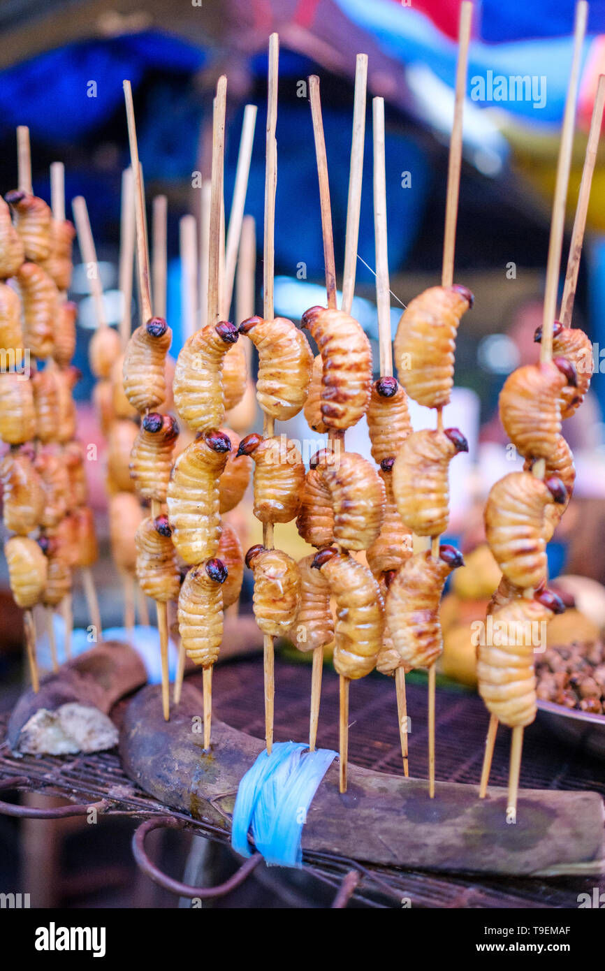 How to eat fried worms hi-res stock photography and images - Alamy