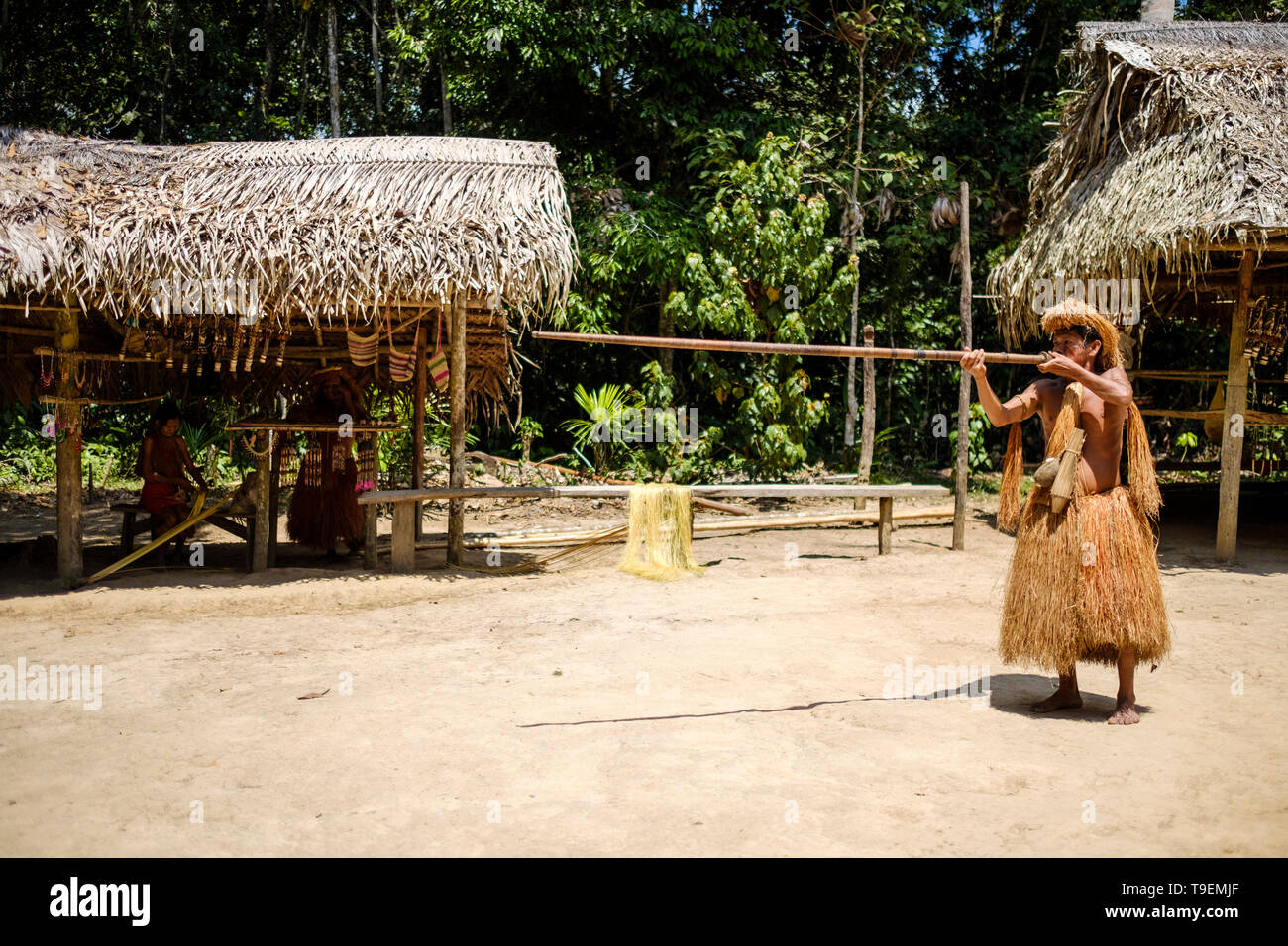 Yagua tribe male member using a traditional blowpipe (or picuna) on the ...