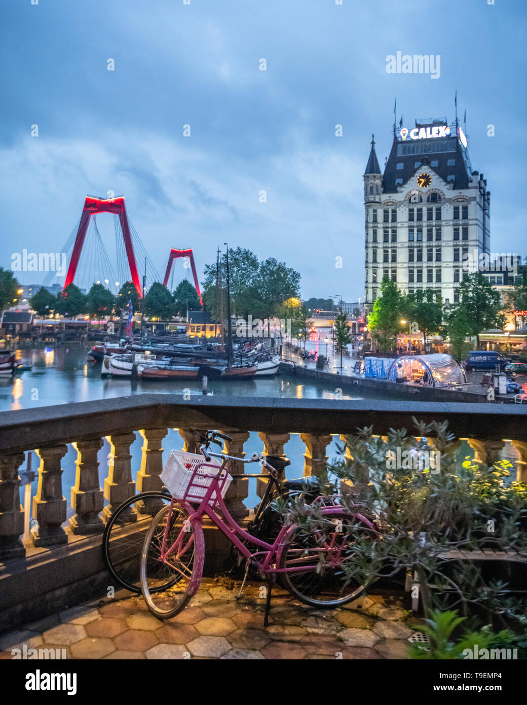 Old Harbor Rotterdam with Witte Huis and Willemsbrug bridge - Calex ...