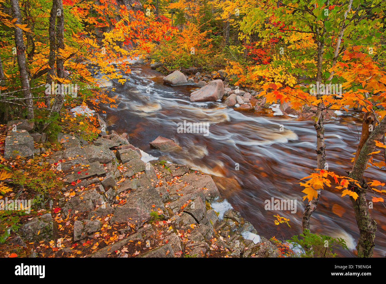 Mary-Anne Falls in the Acadian forest in autumn foliage Cape Breton ...