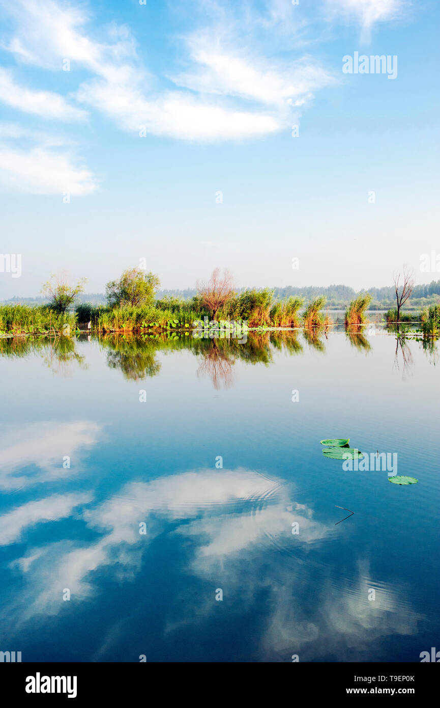 China Anhui Huaibei Nanhu Wetland Park scenery Stock Photo - Alamy
