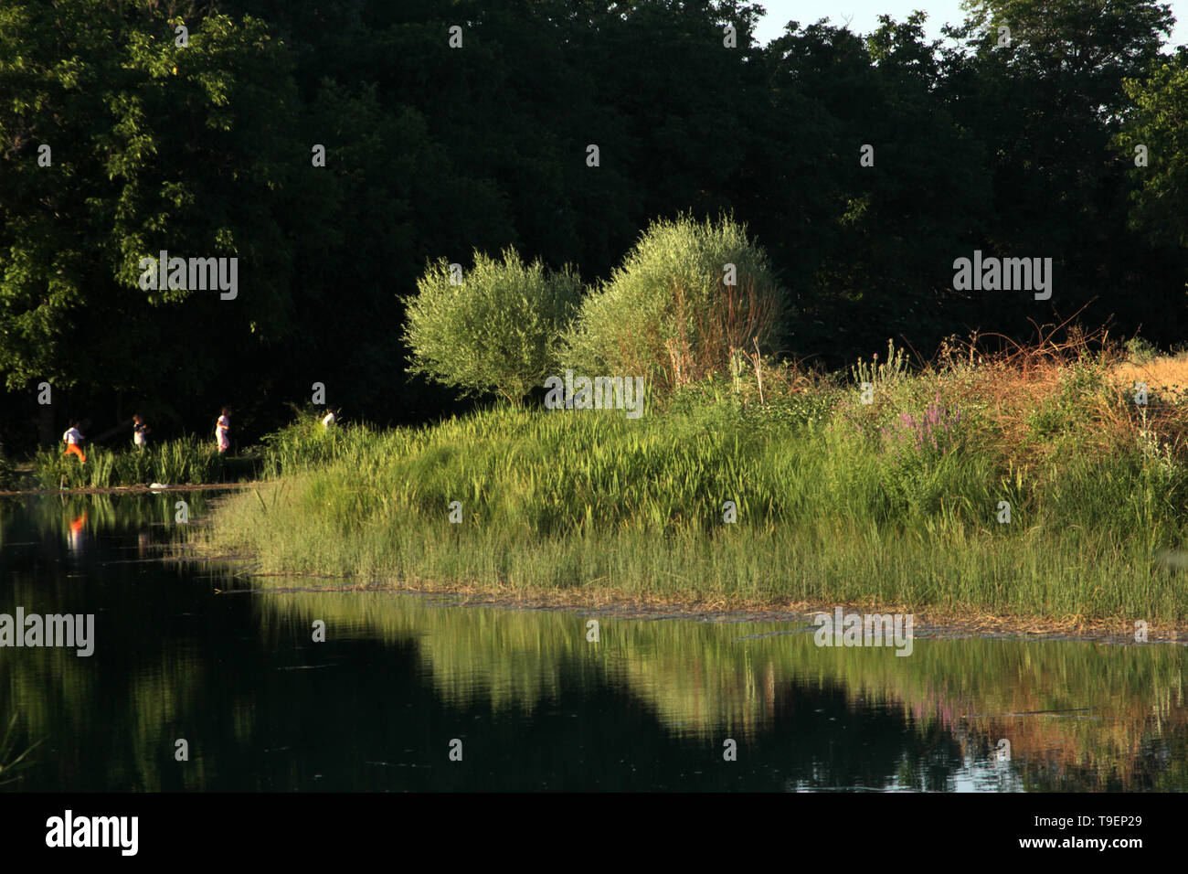 Ilgin turkey hi-res stock photography and images - Alamy