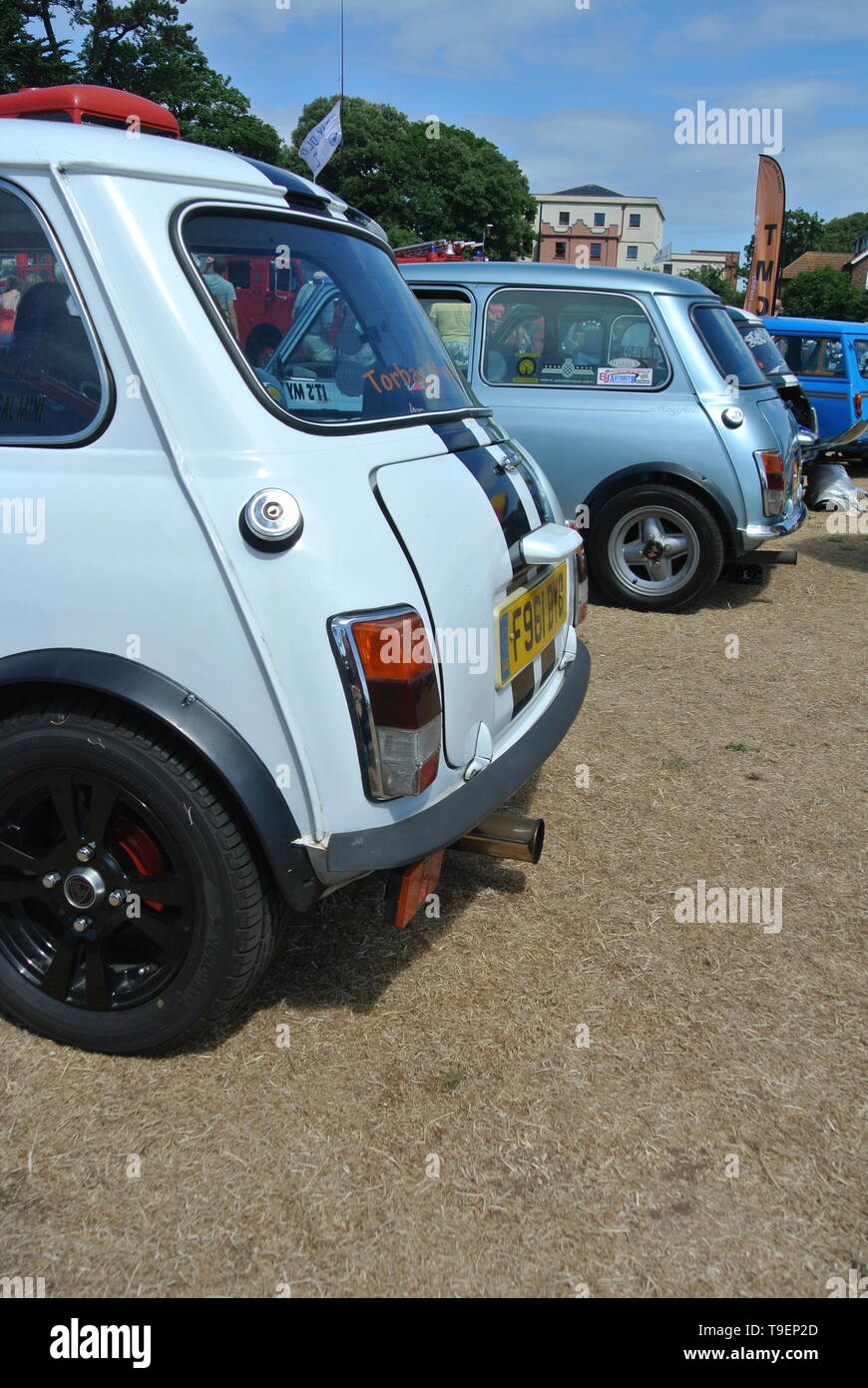 The rear view of two classic Mini's parked up on display at the Riviera ...