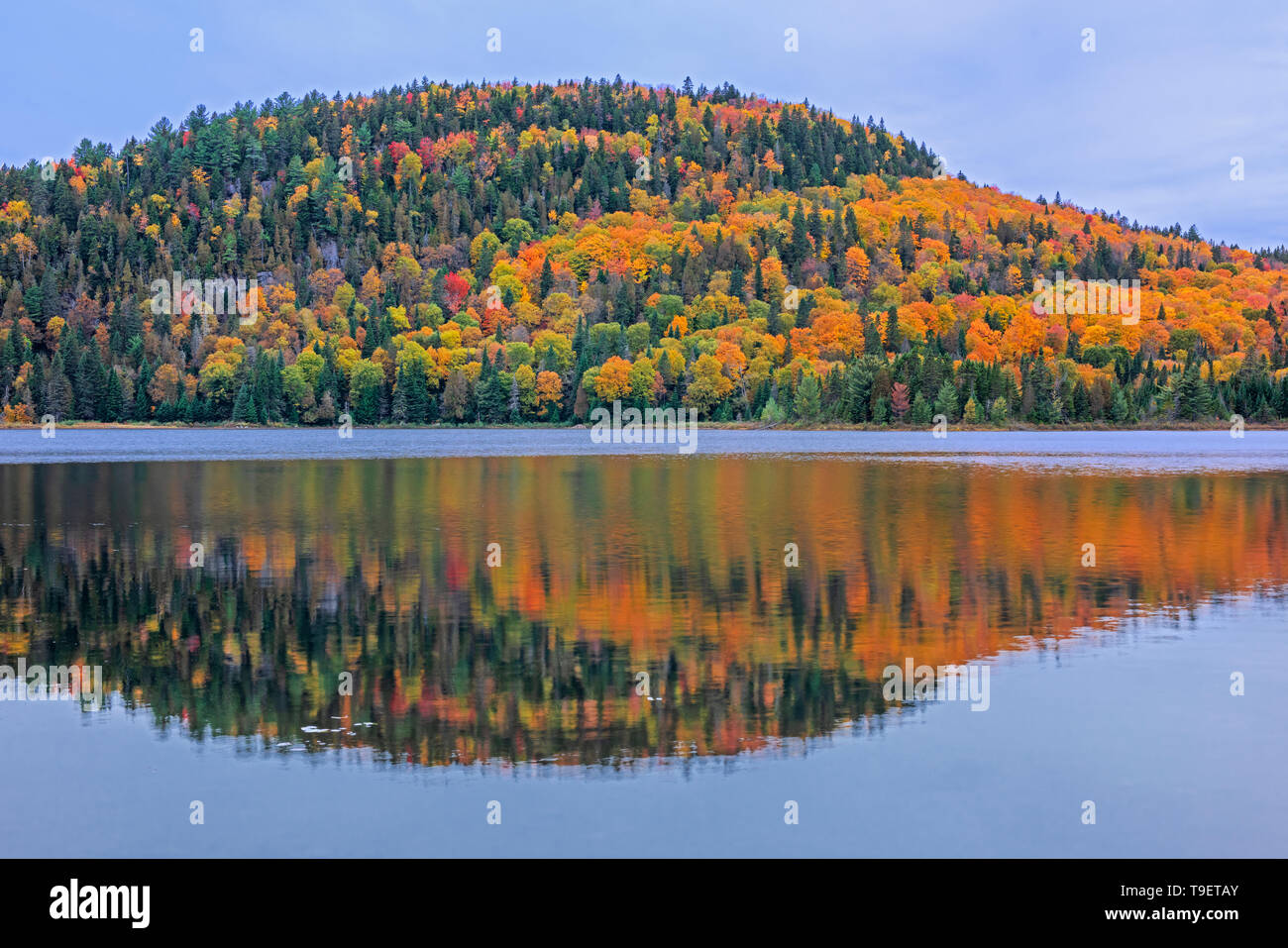 La mauricie national park lac hi-res stock photography and images - Alamy