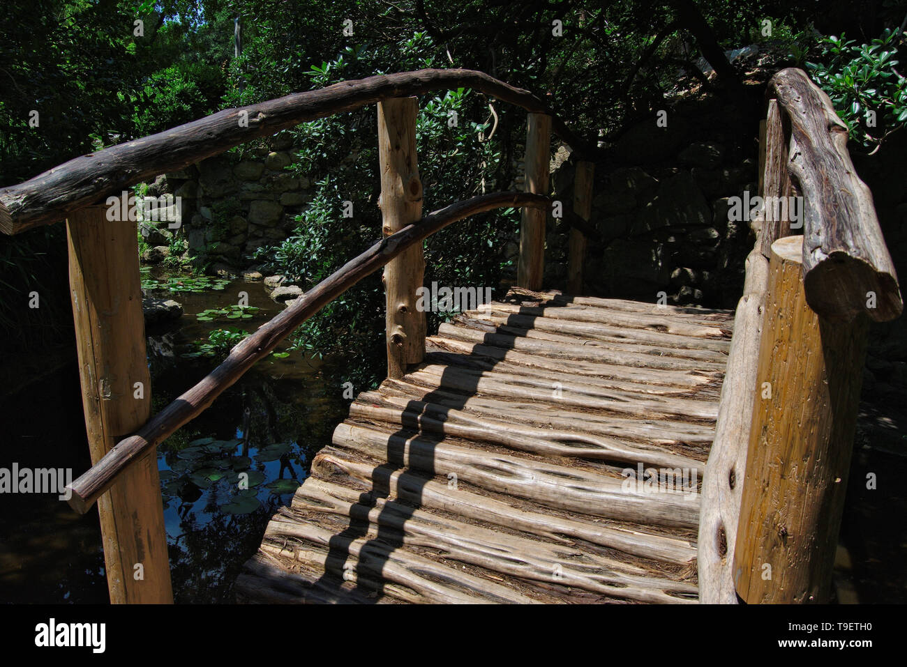 Log bridge in a Japanese water garden Stock Photo - Alamy