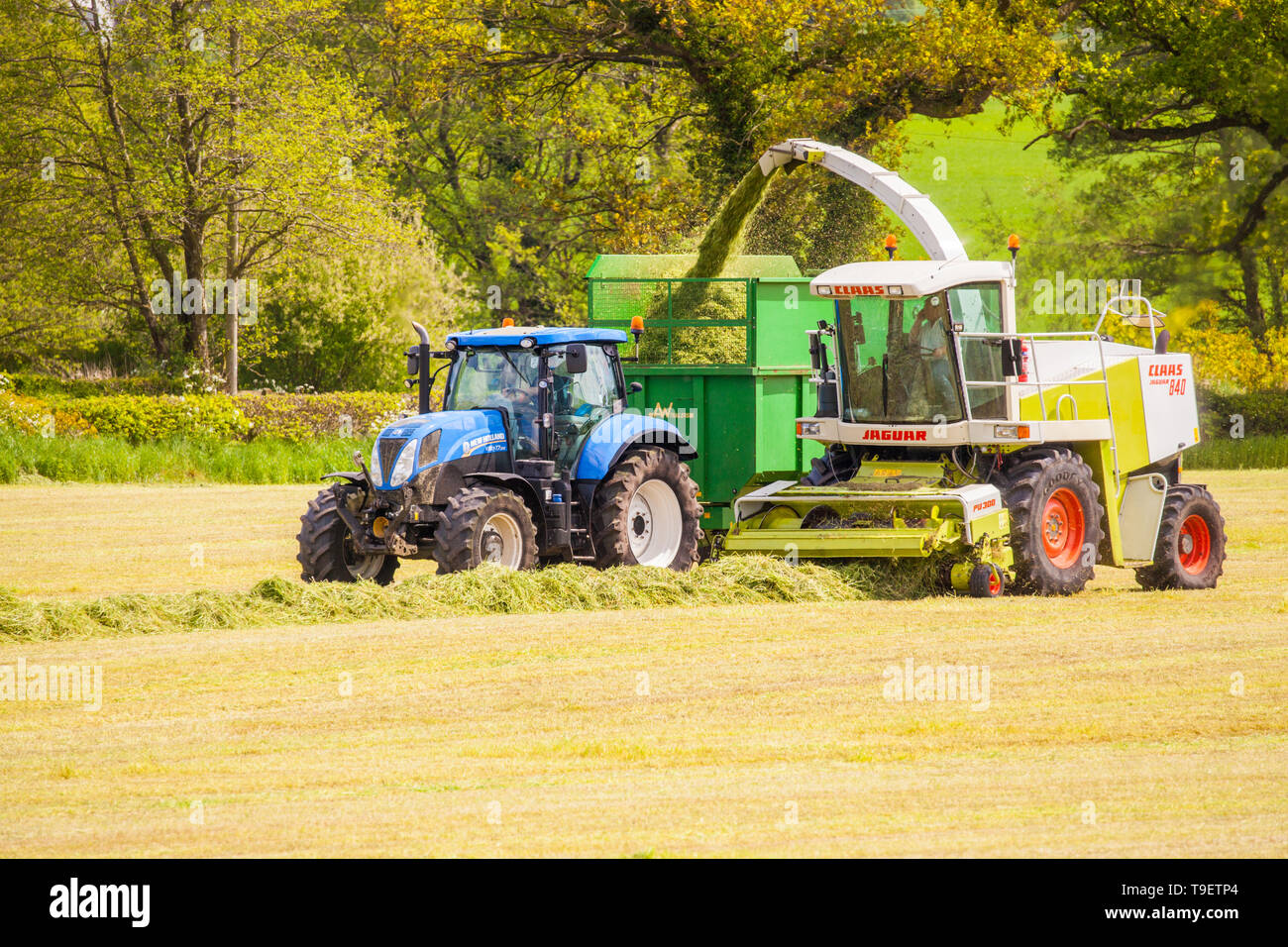 New holland forage harvester hi-res stock photography and images - Alamy
