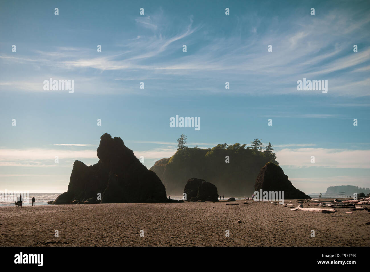 Olympic peninsula beach hi-res stock photography and images - Alamy
