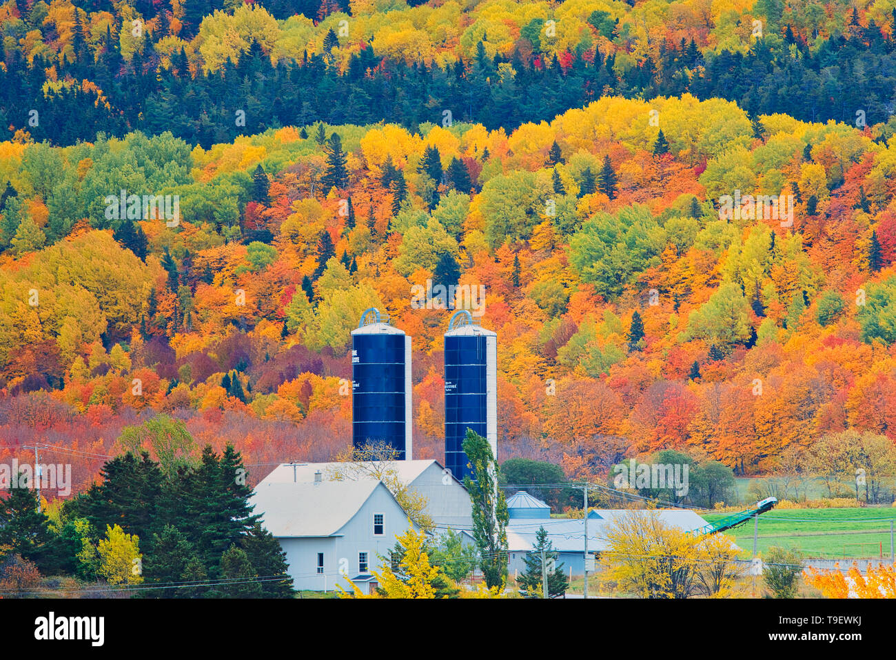 Farm and autumn colors of mixedwood forest in Les Notre-Dame Mountains ...