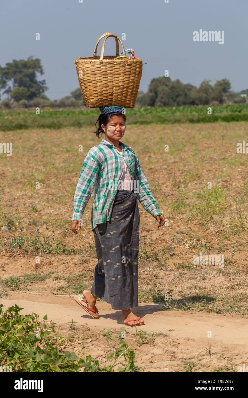 Burmese agriculture hi-res stock photography and images - Alamy