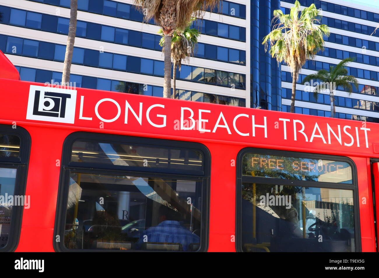 Public Transportation LONG BEACH TRANSIT Bus, Los Angeles, California Stock Photo - Alamy