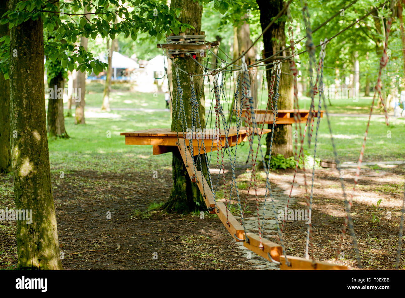 Rope park with obstacles and mountaineering. Extreme rest and summer ...