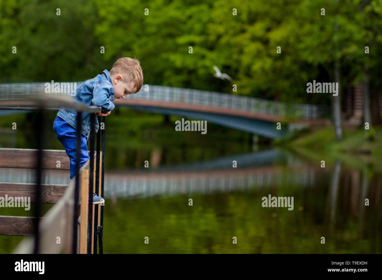 A little boy climbs a bridge railing in the park. The threat of ...