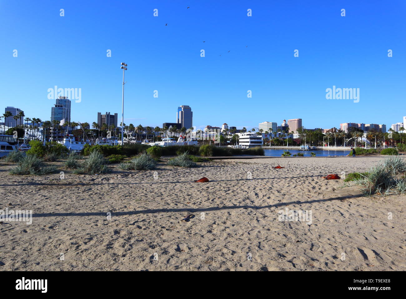 SHORELINE VILLAGE - Pine Ave Pier in LONG BEACH, California Stock Photo ...