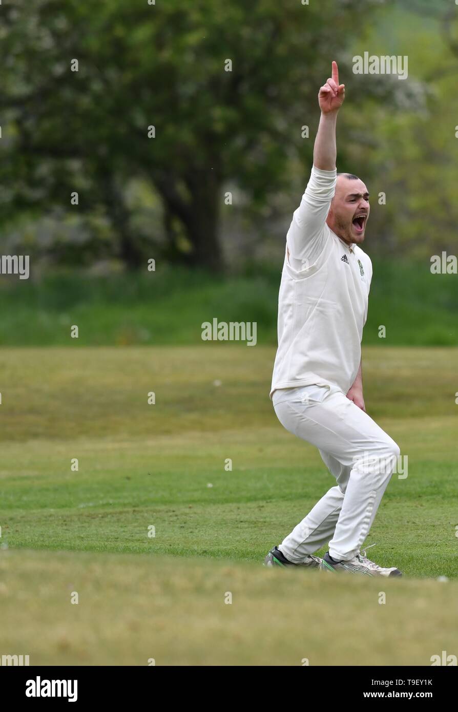 Cricket bowler hi-res stock photography and images - Alamy