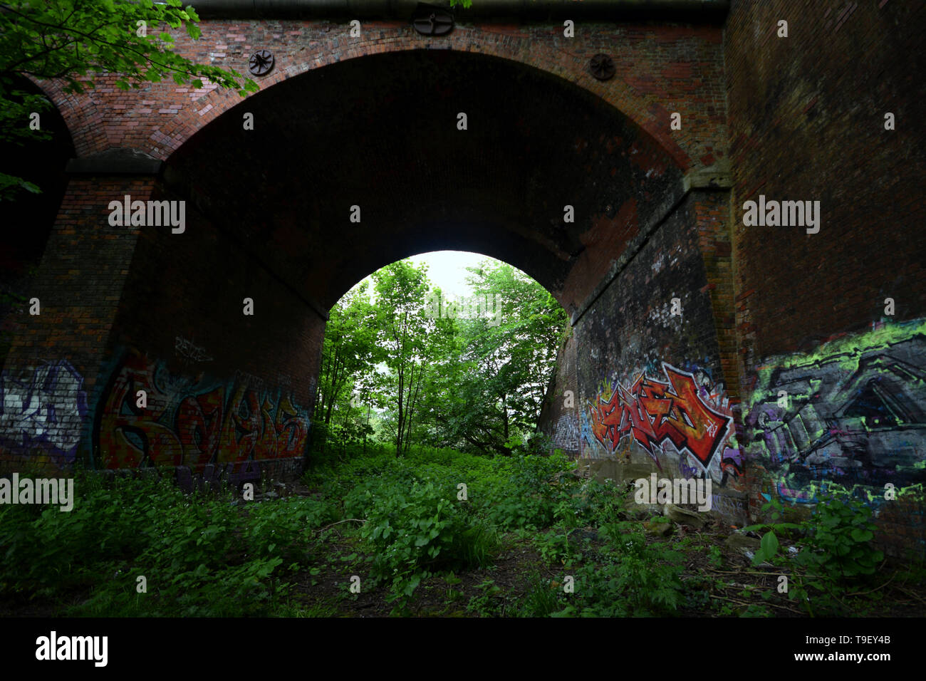 Ghosts in the forest hi-res stock photography and images - Alamy