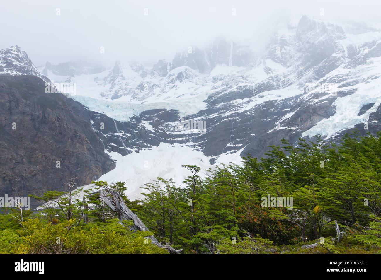French Valley view, Torres del Paine National Park, Chile. French ...