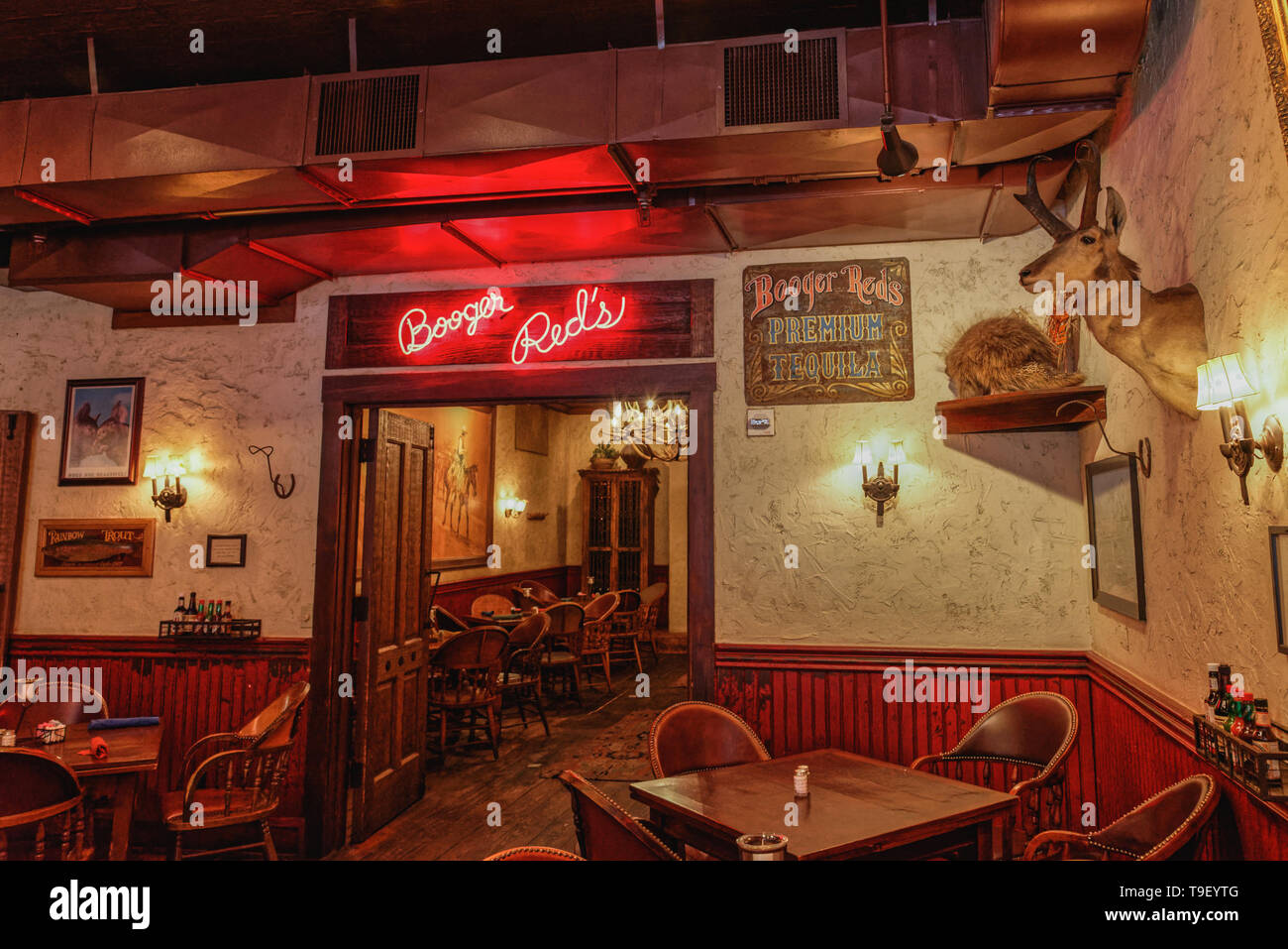 Samuel privett hi-res stock photography and images - Alamy