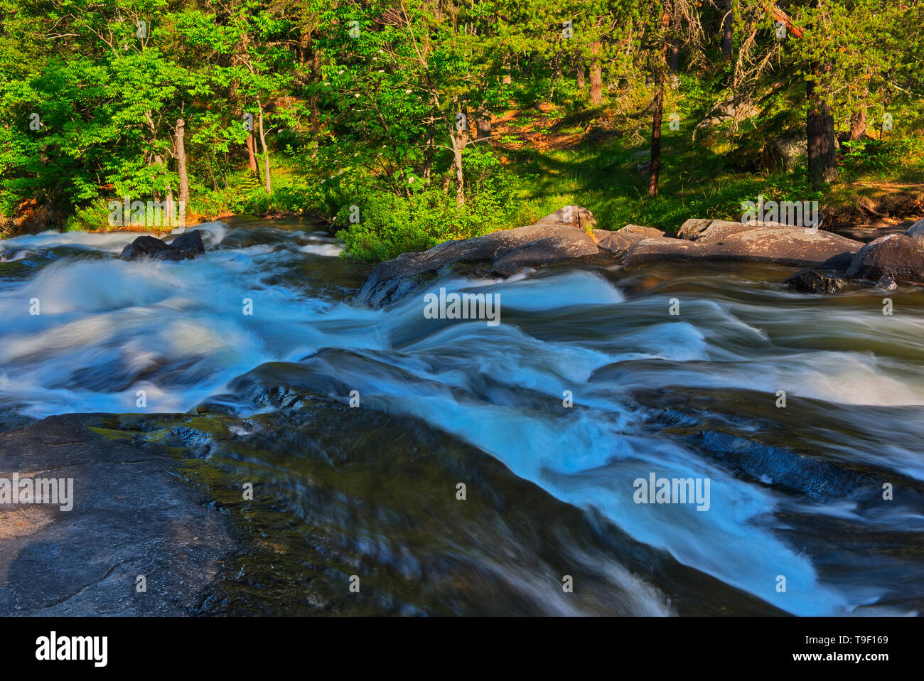 Rushing river provincial park hi-res stock photography and images - Alamy