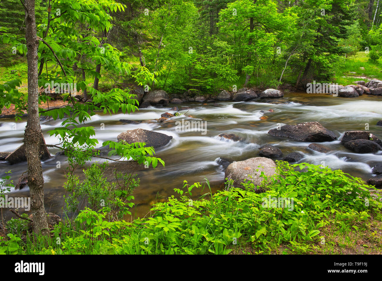 Rushing river provincial park hi-res stock photography and images - Alamy