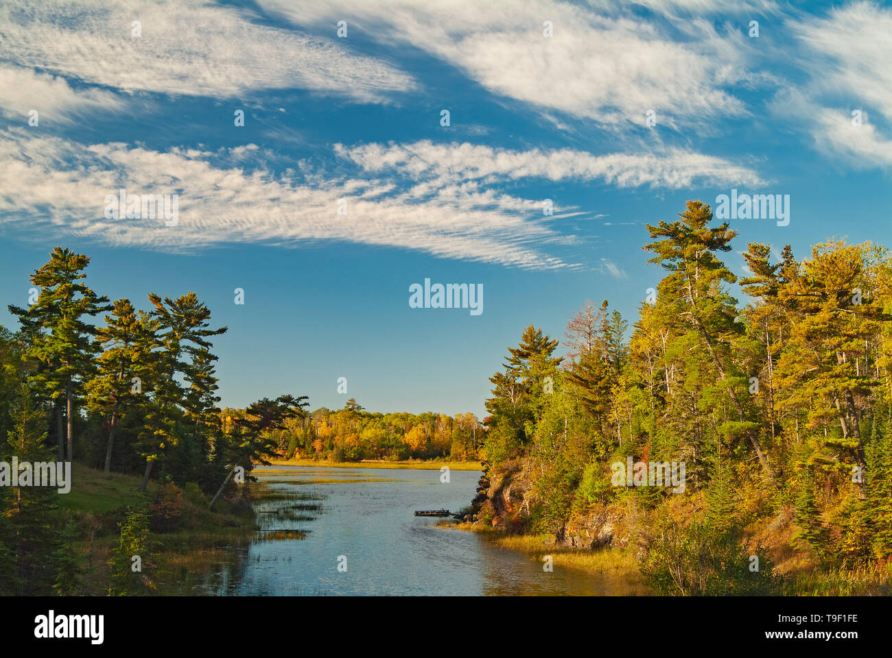 Boreal forest and inlet into Lake of the Woods, Sioux Narrows, Ontario ...