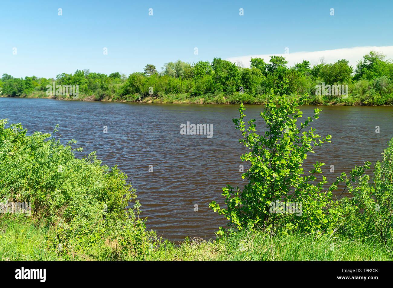 Spring landscape in rural terrain with river on background blue sky ...